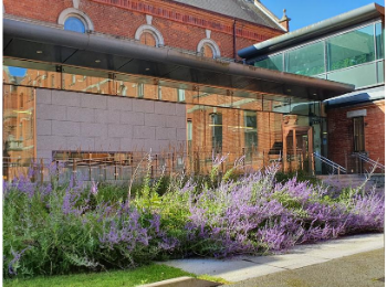 Our Campus | UCD Smurfit School